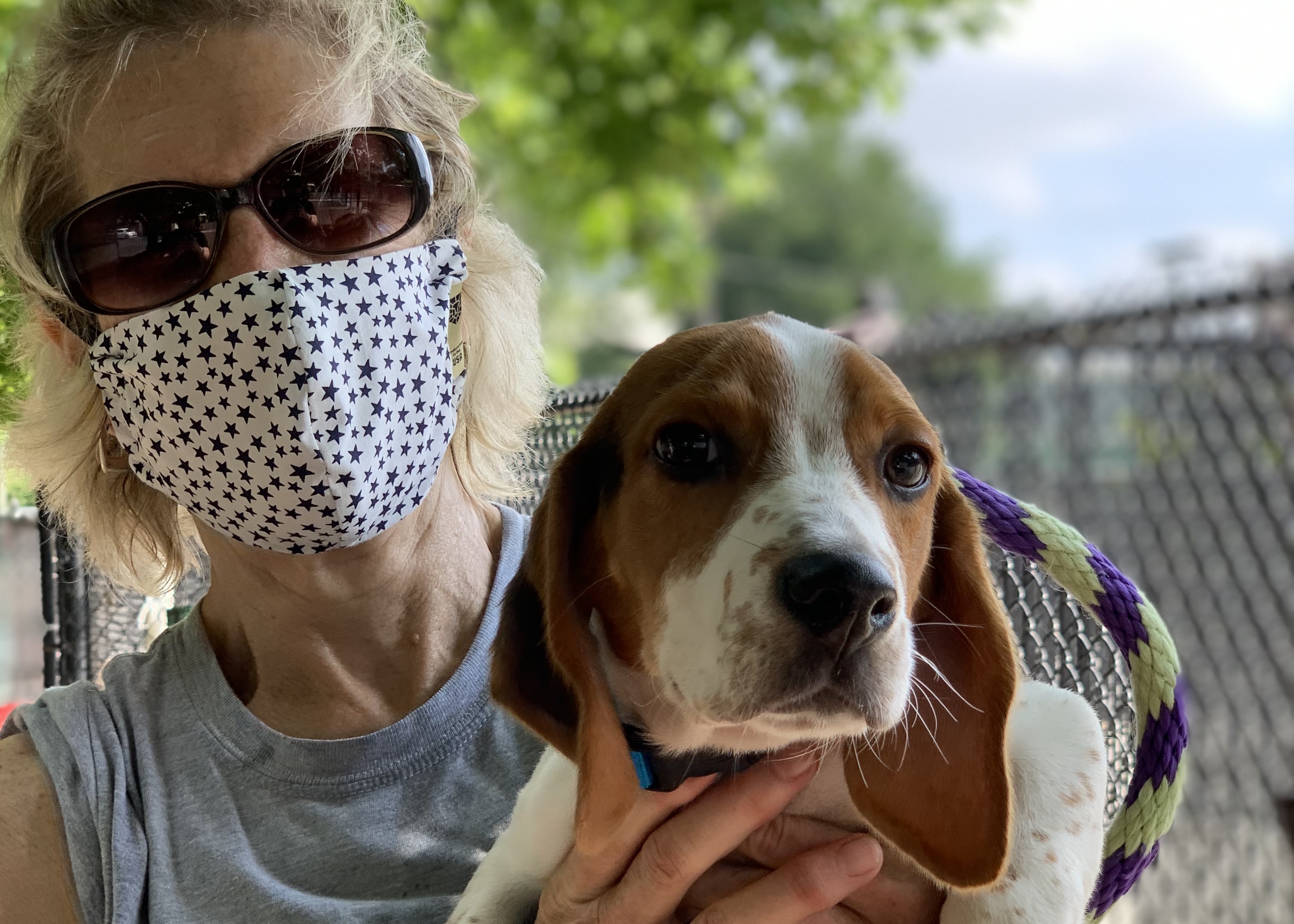 Get Involved | Pennsylvania Society for the Prevention of Cruelty to ...