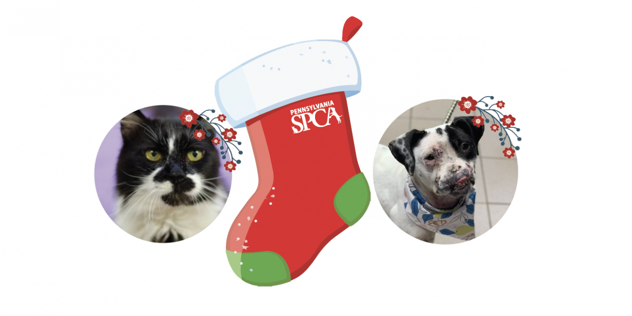 Holiday Stocking Fundraiser | Pennsylvania Society for the Prevention ...