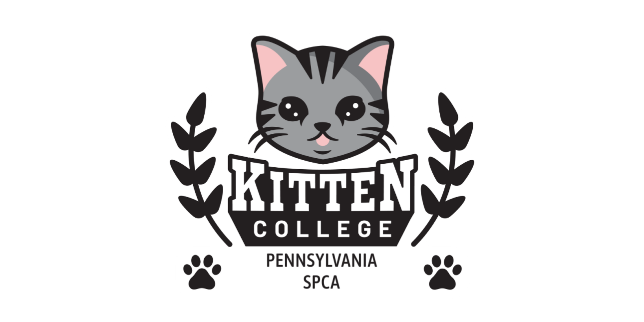 Kitten College | Pennsylvania Society for the Prevention of Cruelty to ...