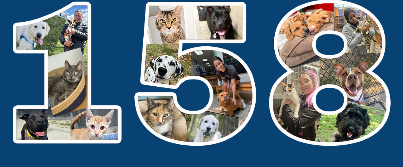 158 Years of Second Chances at the PSPCA | Pennsylvania Society for the ...